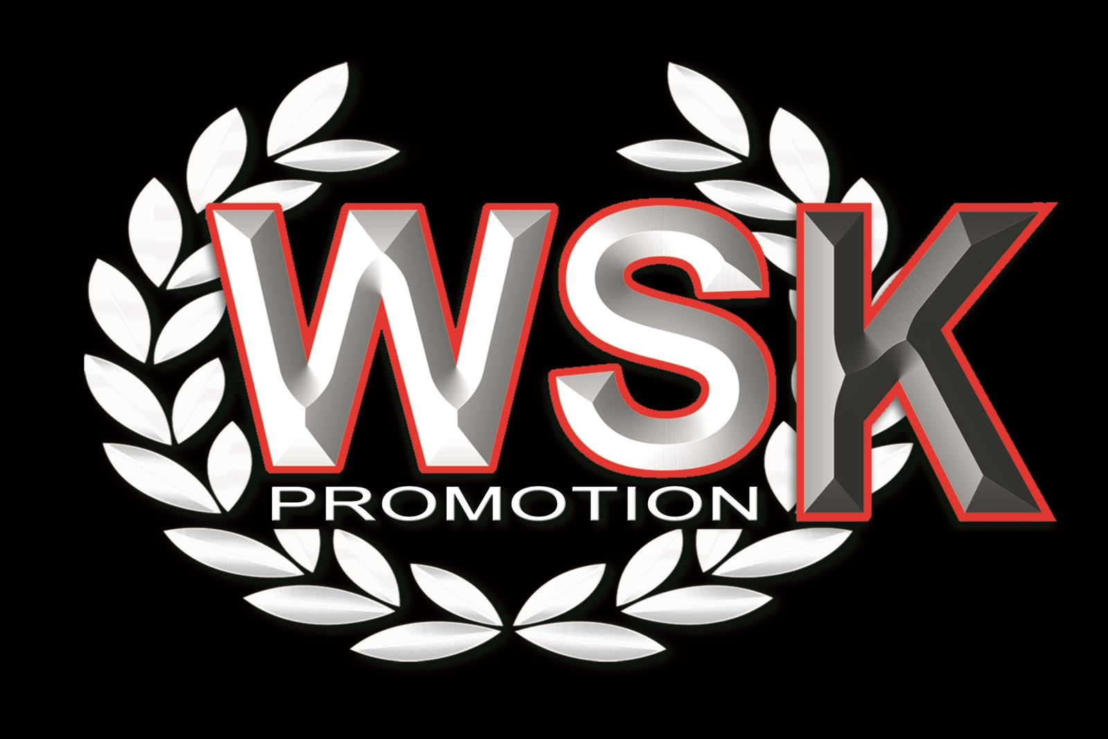WSK postpones the debut of the new categories OK-N and OKN-J - For The ...
