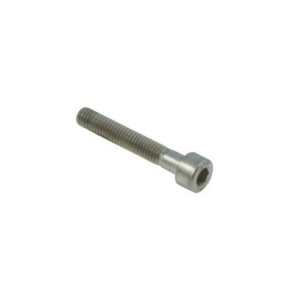 TCEI SCREW 10X40 MM – For The Win Motorsports